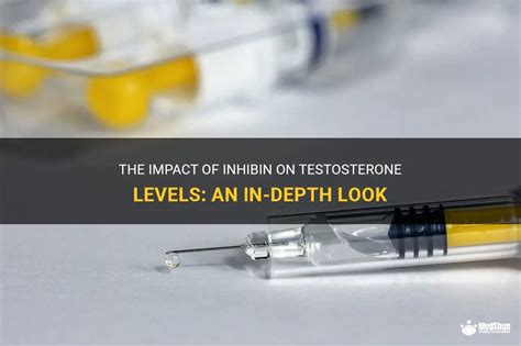 The Impact Of Inhibin On Testosterone Levels An In Depth Look Medshun