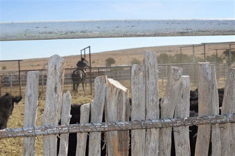 Jrc Ranch Consulting