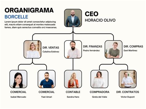 Plantillas De Organigramas Canva