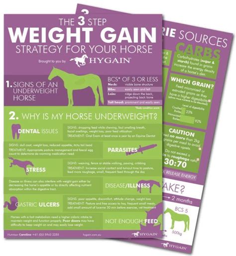 Free Fact Sheet 3 Step Weight Gain Strategy For Your Horse Weight