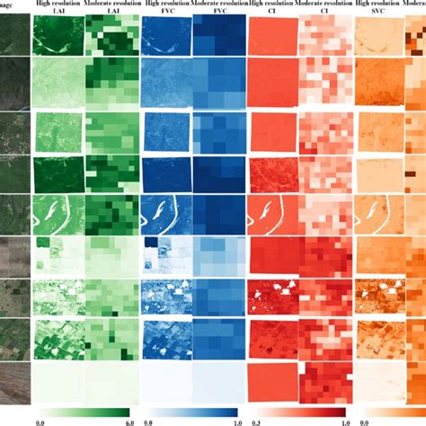 Comparison Of The Moderate Resolution CI FVC LAI And SVC With The