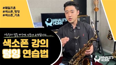 색소폰 못하는 이유 내가 악기를 못 하는 이유 텅잉 때문 2부 Youtube