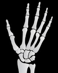 Intro To Medical Imaging Flashcards Quizlet