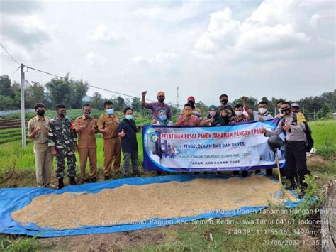 Genjot Kualitas Produksi Beras Kabupaten Kediri Dinas Pertanian Dan Perkebunan Adakan Pelatihan
