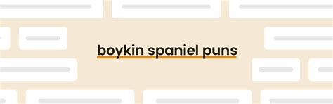 20 Best Boykin Spaniel Puns For 2025 Updated February Punpress