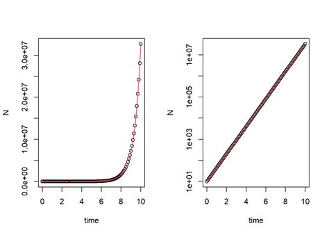 Week 2 Exponential Population Growth Introduction To Theoretical