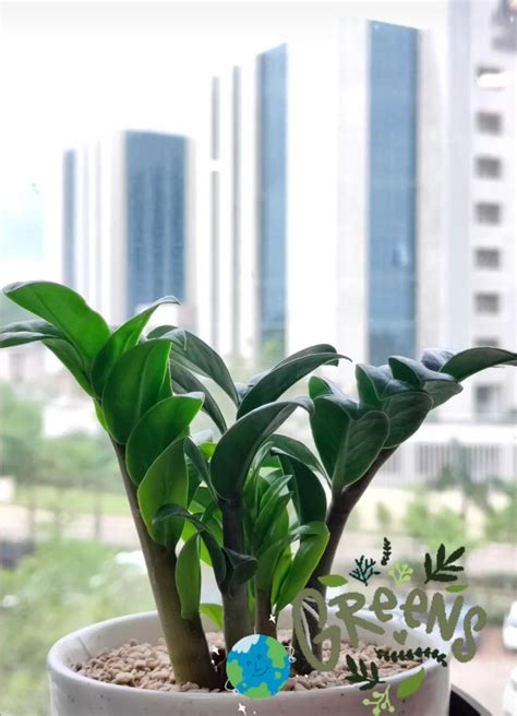 Lakshmi Rajendran On Linkedin Worldenvironmentday
