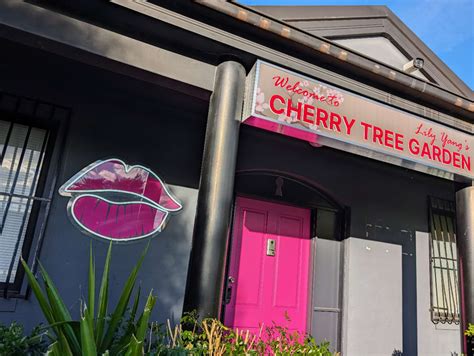 Jolin Brothel Near Me The Cherry Tree Garden Oakleigh Best Brothel Melbourne