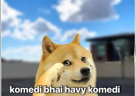 Funny Dp Cute Funny Pics Weird Quotes Funny Funny Emoji Funny