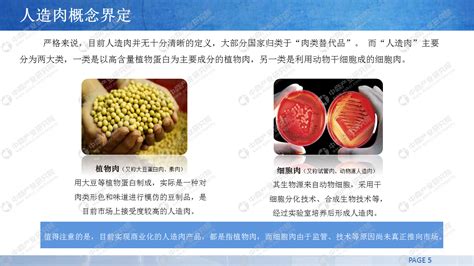 《2019年中国人造肉行业市场前景研究报告》发布肉类