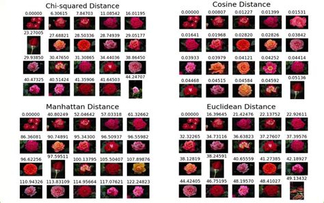 Color Feature Matching Result Of Our Proposed Method Download