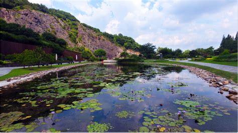 九城市居民凭身份证即可享受辰山植物园门票优惠活动 中国公园
