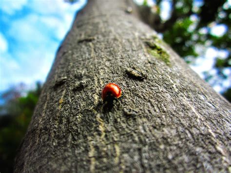Runtime Debug Logging With Emberjs