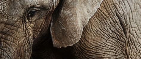 Postgresql Partitioning And Inheritance