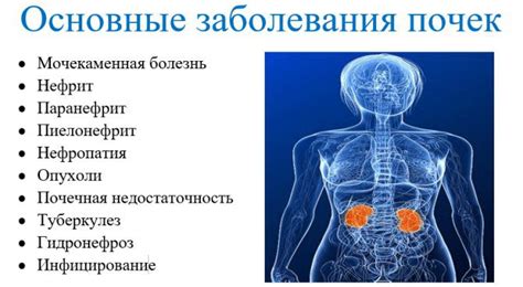 Как лечить болезни почек в Ростове-на-Дону, советы экспертов