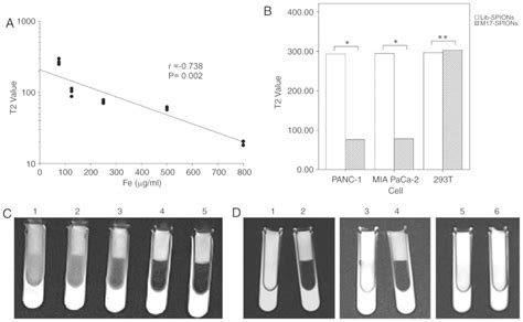 A Dna Aptamer Recognizing Mmp14 For In Vivo And In Vitro Imaging