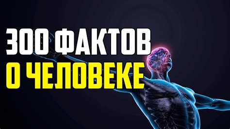 Удивительные факты о человеке топ 10 интересных и удивительных