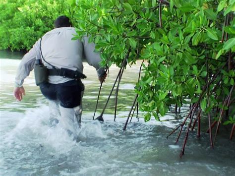 Watch Born Survivor Bear Grylls Season 6 Prime Video