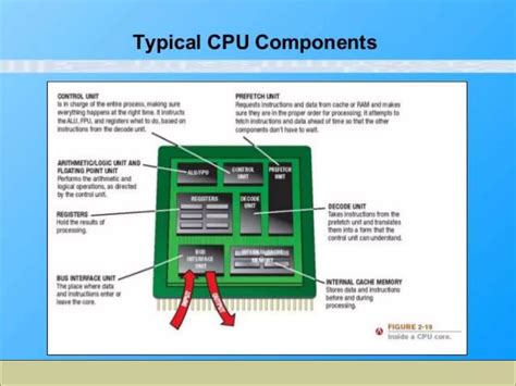 How The Cpu Worksppt