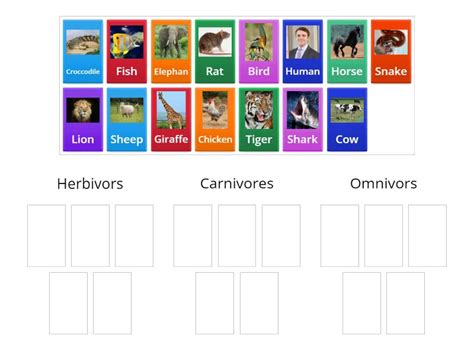 Herbivores Carnivores Omnivores Group Sort