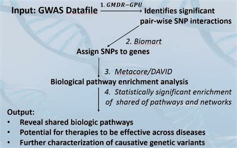A Multi Variate Model Step 1 Input Gwas File Into Gmdr Gpu Which