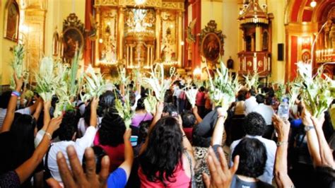 Ramo De Olivo En Semana Santa Qué Significado Tiene Y Por Qué Se Lleva