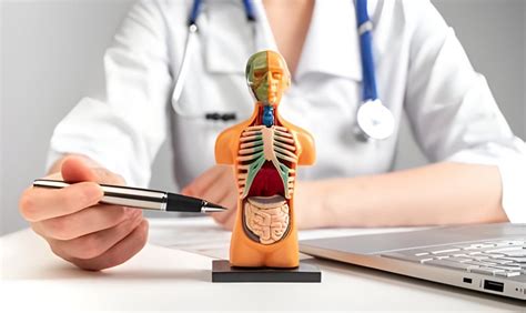 Ace Your Exam With Chl Practice Test Prep 2025