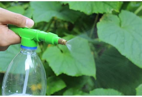 Soda Bottle Sprayer Full Range Of Sprayers Pestrol Australia