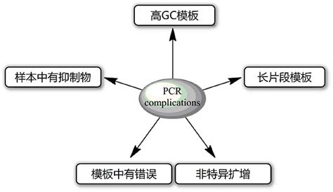 “酶”力无穷：助力分子诊断产品大发展 Pcr技术改变了现代分子生物学，而taq Dna聚合酶改变了pcr。taq Dna聚合酶是pcr反应中最