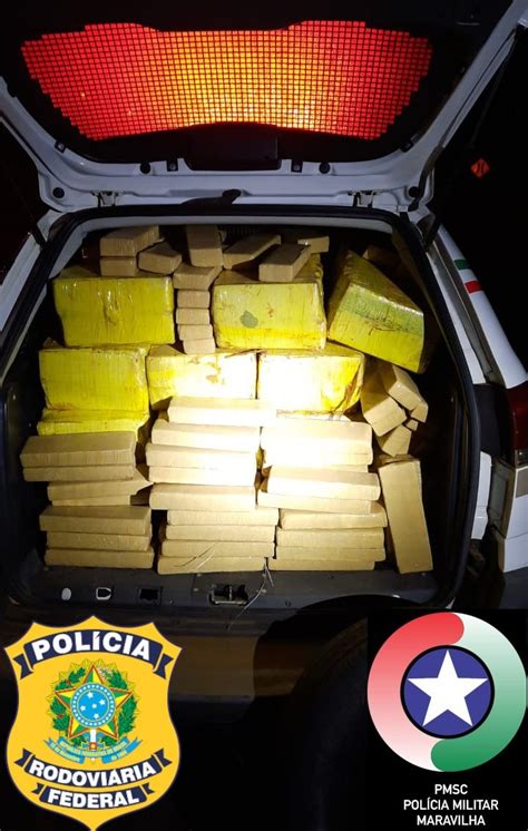 Ação Conjunta Prf E Pm Apreende 295 Kg De Maconha Na Br 282 Em