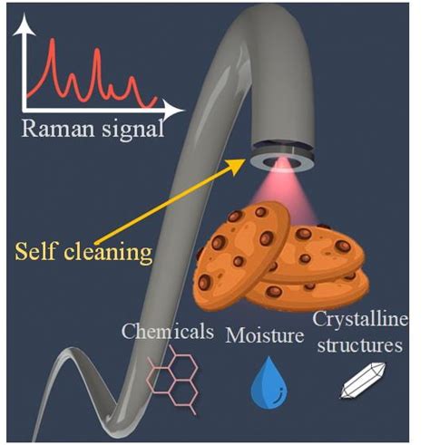 Center For Advanced Research In Drying In Situ Raman Spectroscopy