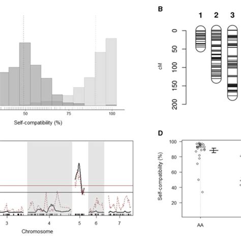 Quantitative Trait Locus Qtl Analysis For Self Compatibility Sc Download Scientific