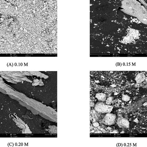 7 Scanning Electron Micrographs Sem Of Concentration Varied Cuo Thin