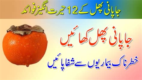 Japani Phal Ke Fayde Health Benefits Of Persimmon In Urdu Hindi