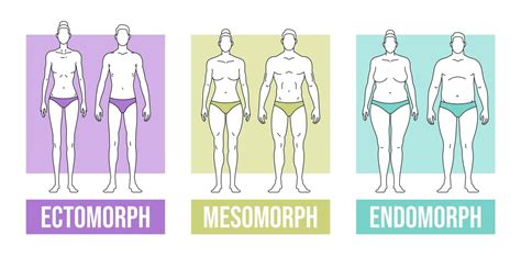 Mesomorph Body Type What It Is And The Diet You Should Follow To Reach
