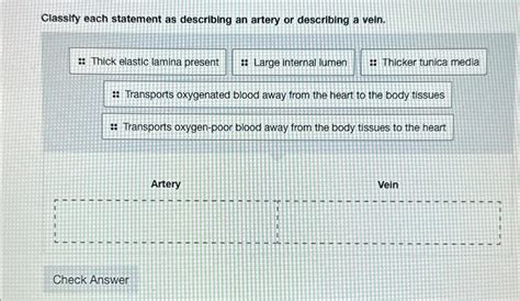 Solved Classify Each Statement As Describing An Artery Or