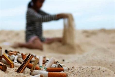 Estará Prohibido Fumar Cigarrillos En Playas Y Parques De Miami Beach