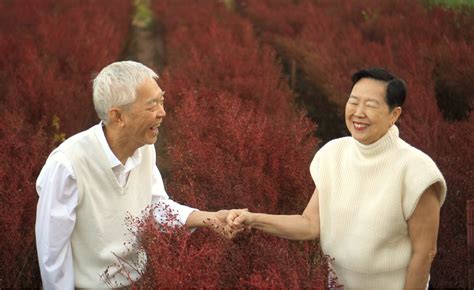 Executive Functioning And Aging — Building Brains Together