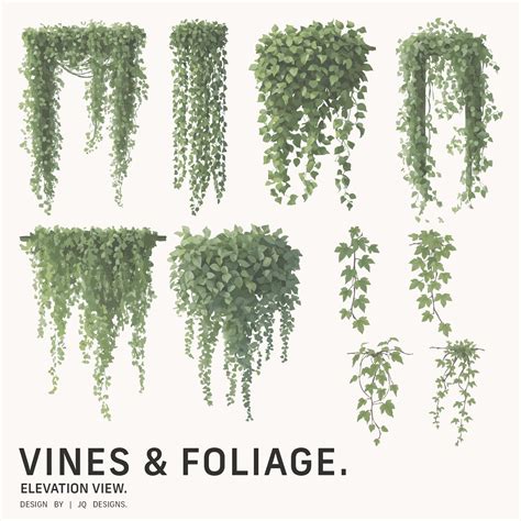 Set Of 10 Vine Elevation Vector Set Instant Digital Download Etsy