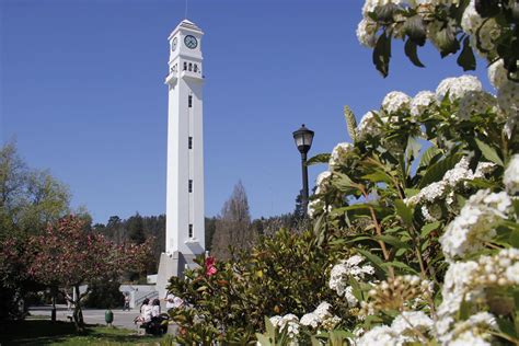 102 Años Udec El Importante Rol De Alumni Udec Y El Departamento De