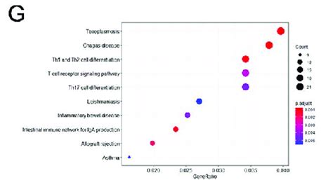 Single Gene Analysis Of Hif1a Based On Chronic Lymphocytic Leukemia Download Scientific Diagram