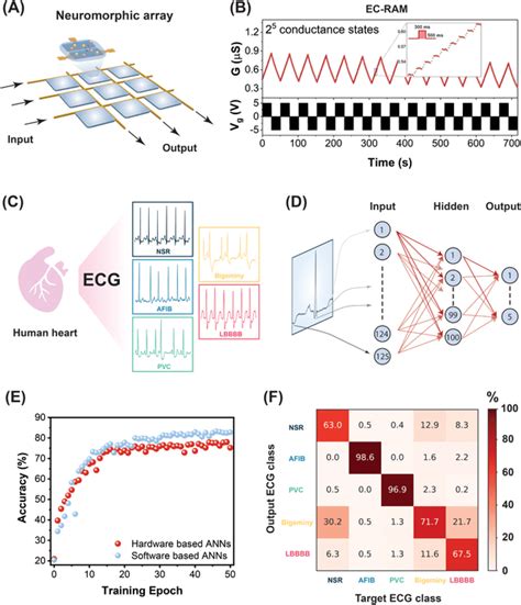 A Schematic Representation Of A Neuromorphic Array Based On P‐3o Download Scientific Diagram