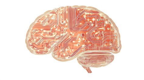 Brain With Circuit Board Elements Symbolizing Artificial Intelligence Premium Ai Generated Image