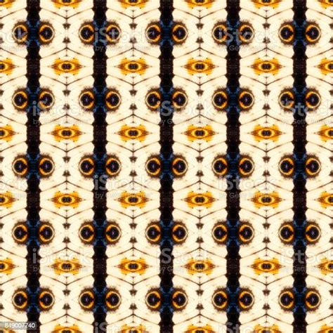 蝶の翅のテクスチャから背景グラフィック スクエアのストックフォトや画像を多数ご用意 スクエア タイ王国 チョウ Istock