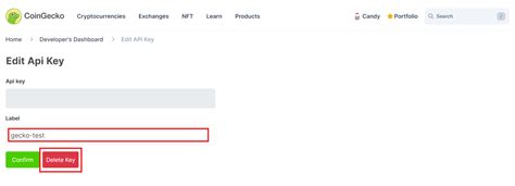Setting Up Your API Key