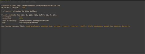 Lsp Pid Not Showing Language Server Protocol LSP Neovim Discourse