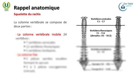 SOLUTION Biom Canique Rachis Cervical 2 Me Physio Studypool