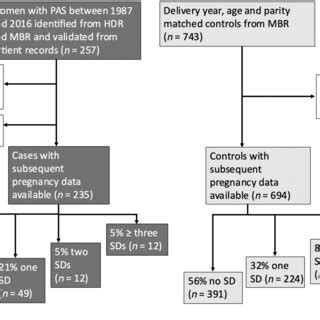 Flow Chart Of The Study And The Number Of Subsequent Deliveries Among Download Scientific