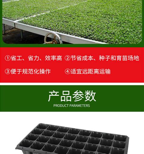 育秧盘育秧技术 育秧盘如何育秧 水稻育秧盘育秧技术 第12页 大山谷图库