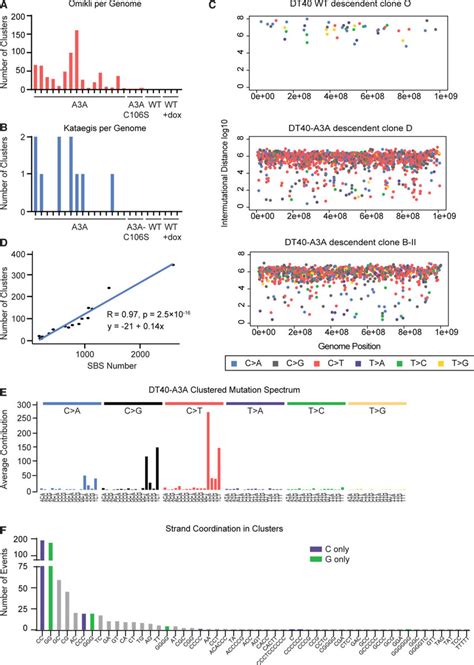 apobec3a activity generates clustered mutations a and b the number of